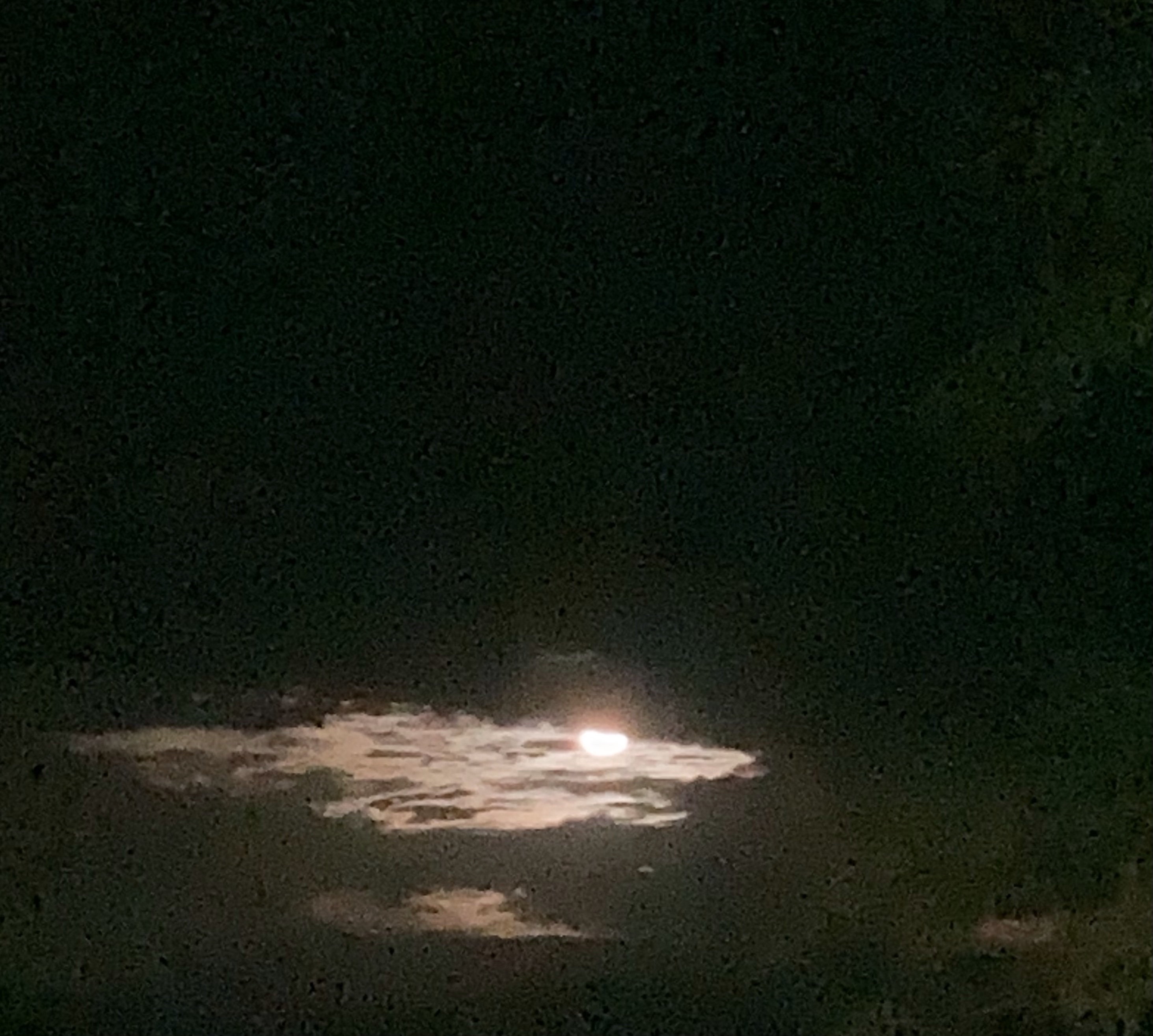 Root of Bitterness… – Nomads2